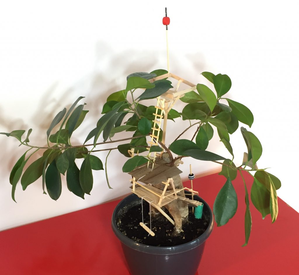 Fabriquer une micro-cabane dans vos plantes vertes ! :) | Toysfab