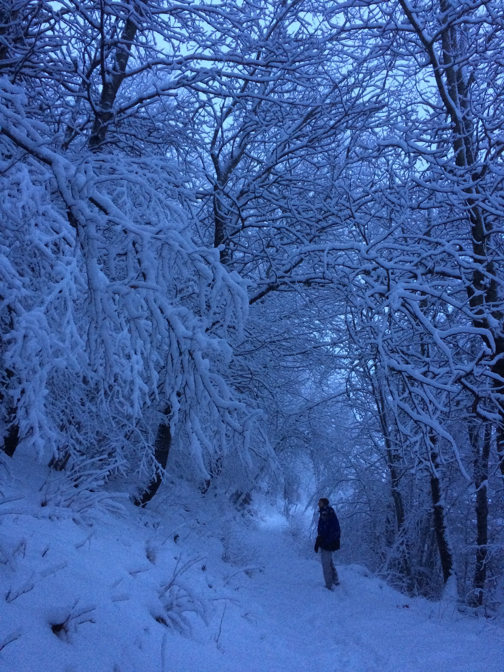 Les mystères de Romme sur Cluses s’épaississent en Hiver… - Toysfab